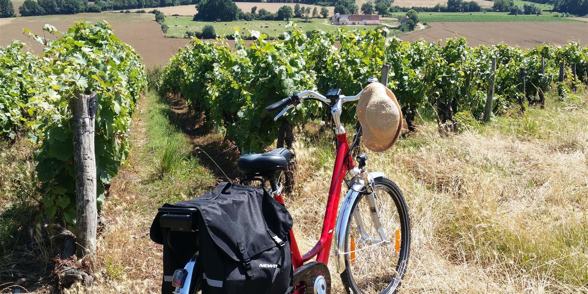La Route des Vins | Vallée du Loir Tourisme