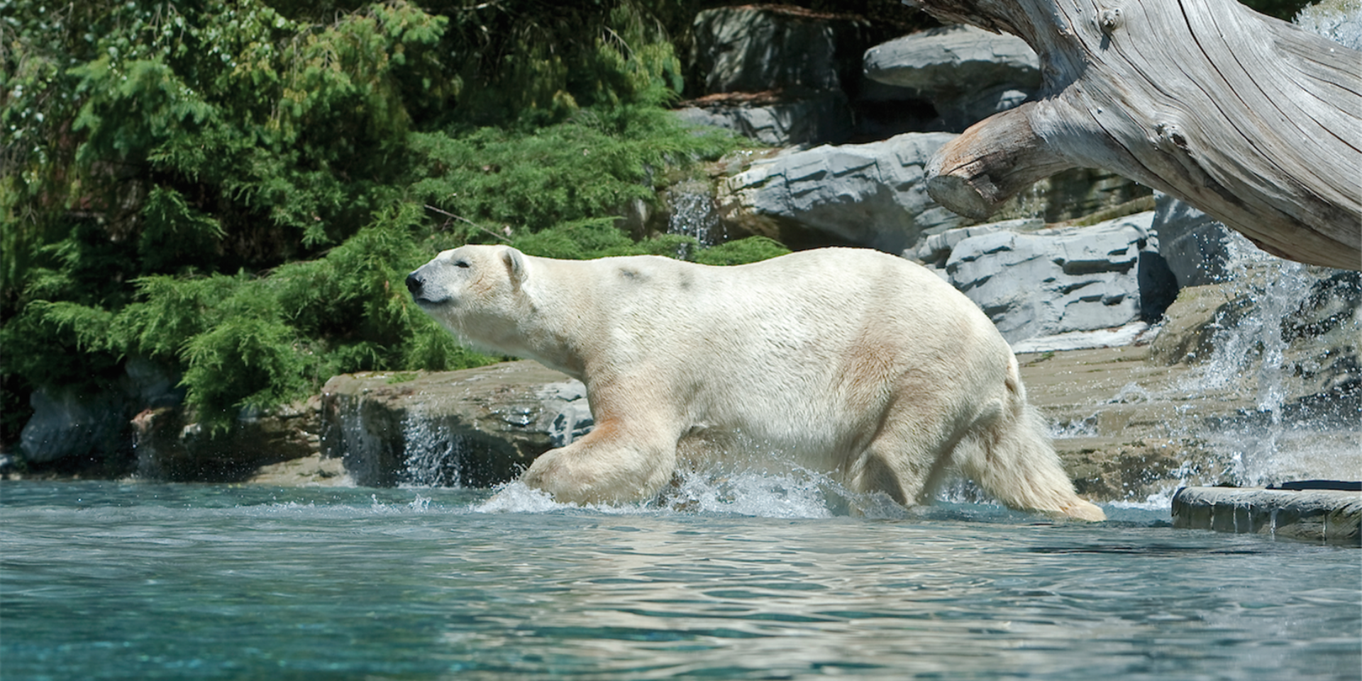 Our favorite places in the zoo | Loir Valley Tourism